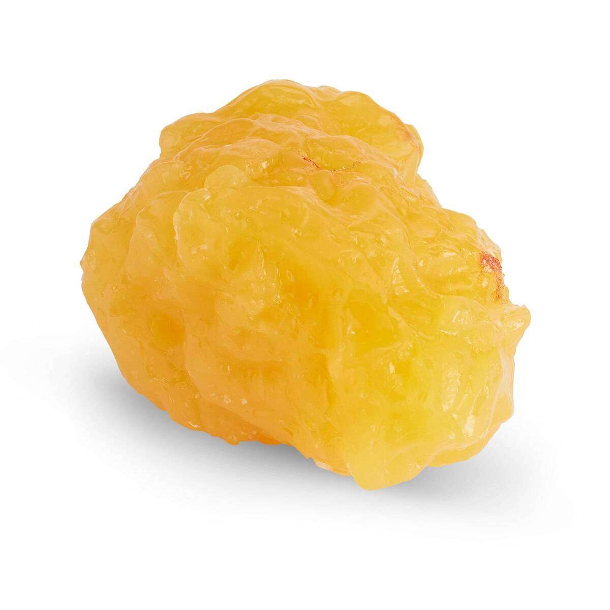 Nasco Healthcare 1-lb. and 5-lb. Fat Replica Sets | Anatomy Warehouse