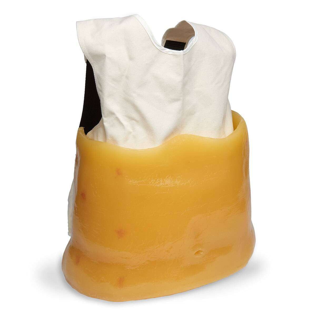 Nasco Healthcare 1-lb. Body Fat Replica on Base | Anatomy Warehouse