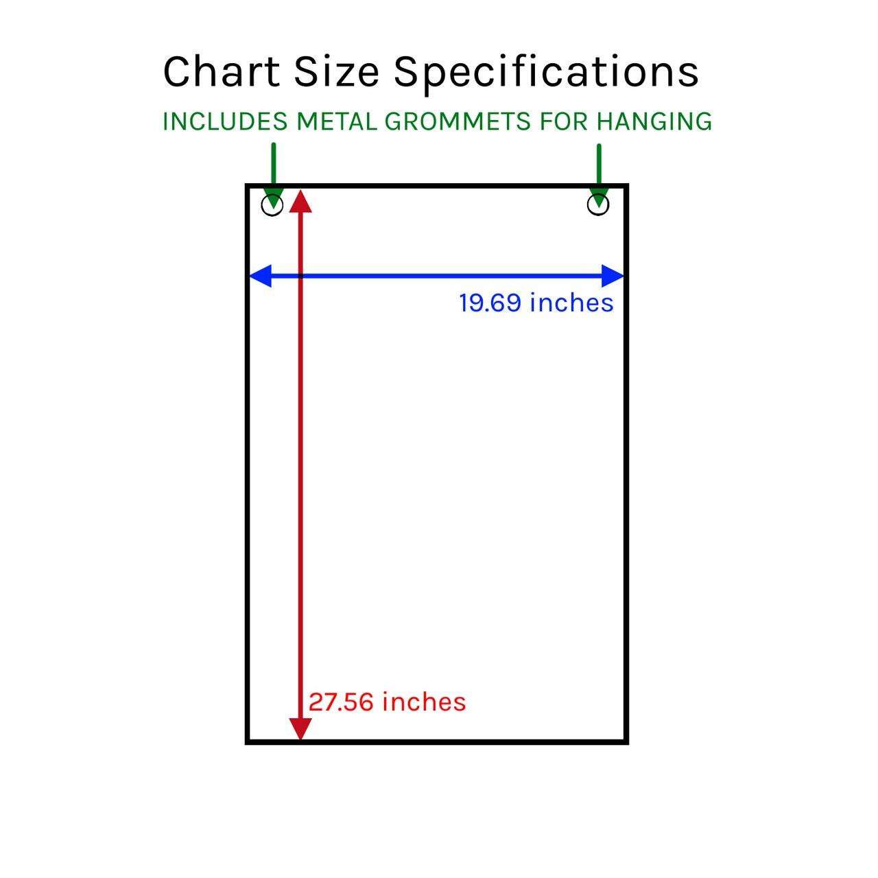 Anatomy Warehouse Body Parts of the Upper & Lower Limbs - Arm Charts