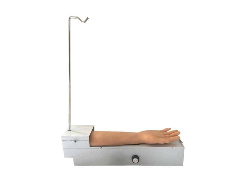 Anatomy Lab Venipuncture Pad | Anatomy Warehouse