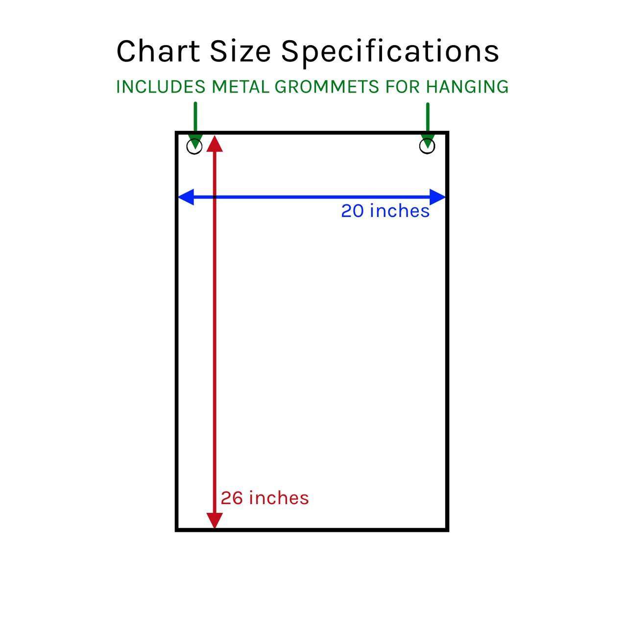 Anatomical Chart Company BMI and Waist Circumference Laminated Chart ...