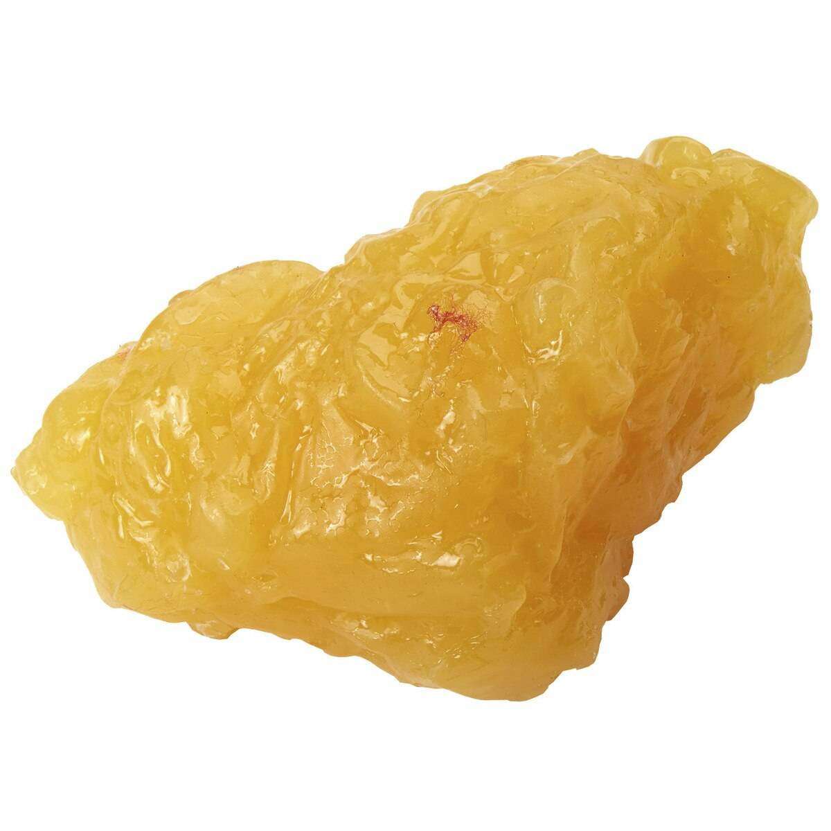 Nasco Healthcare 1-lb. Body Fat Replica on Base | Anatomy Warehouse