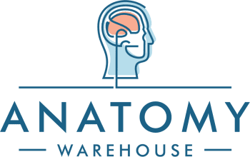 Anatomy Warehouse, The Home of Axis Scientific | Find All Axis ...