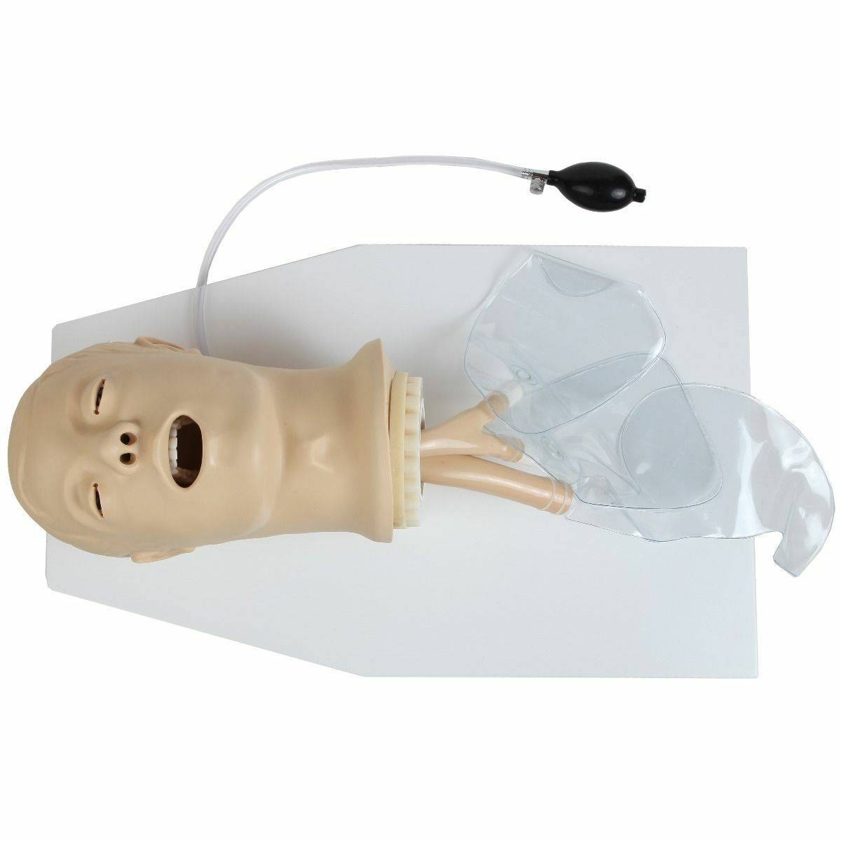 Airway Management Task Trainers: Practice Intubation & Ventilation ...