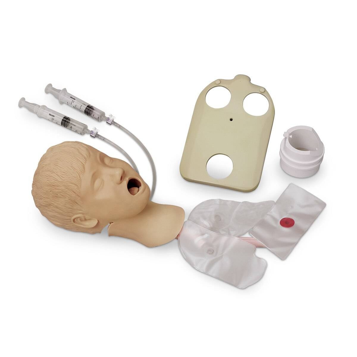 Nasco Healthcare Advanced "Airway Larry" Trainer Head | Anatomy Warehouse