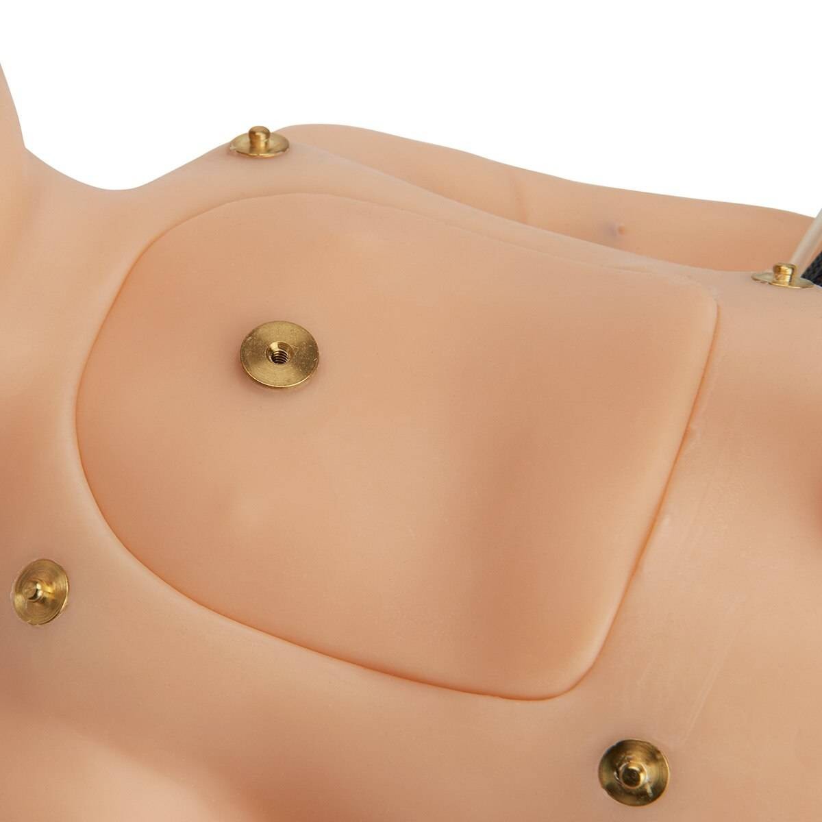 Nasco Healthcare C.H.A.R.L.I.E. Neonatal Resuscitation Simulator ...
