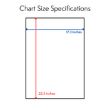 Rudiger Anatomie Trigger Points Laminated Chart | Anatomy Warehouse