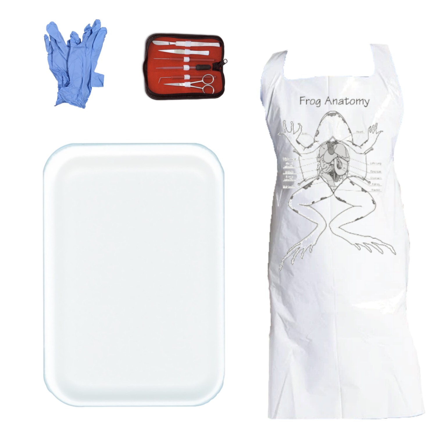 Dissection Supplies: Kits, Tools & Trays for Anatomy Labs | Anatomy ...