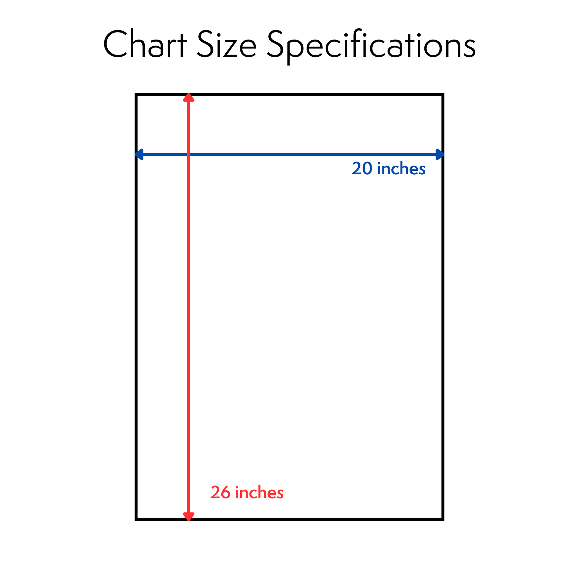Anatomical Chart Company Products - Anatomy Warehouse