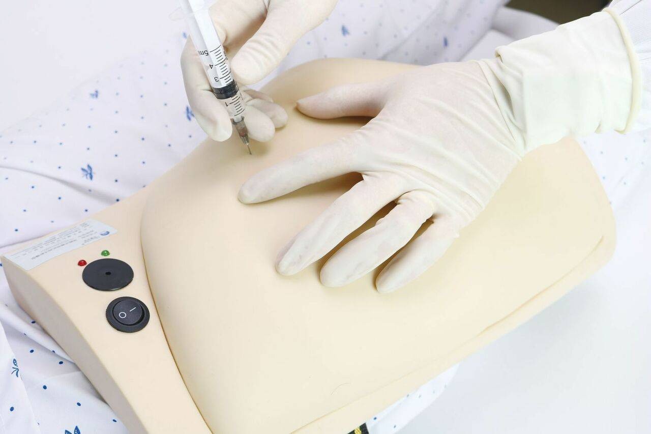 Anatomy Lab Buttock Injection Model | Anatomy Warehouse