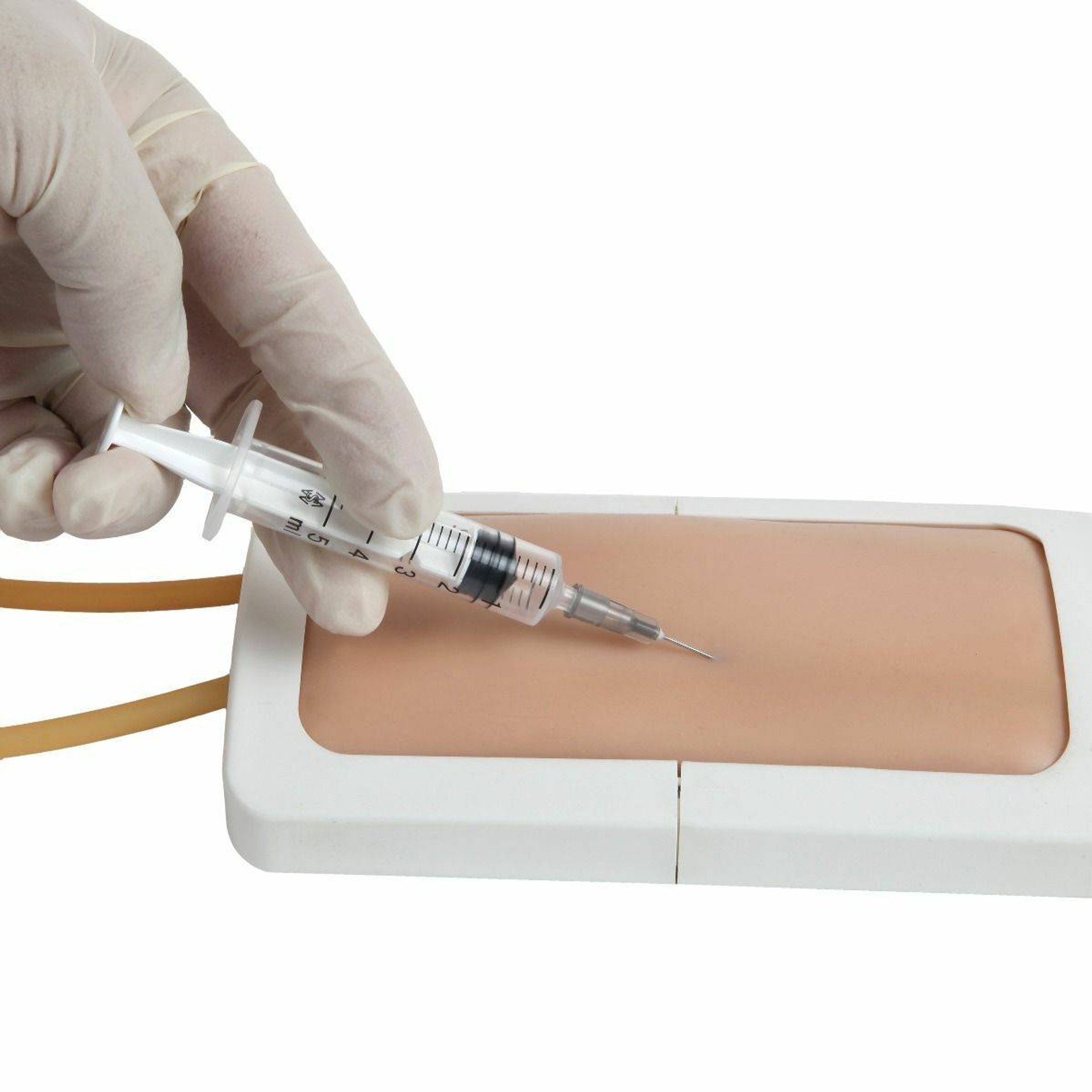 Anatomy Lab Venipuncture Pad | Anatomy Warehouse