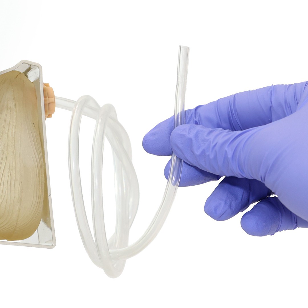 Anatomy Lab Advanced Portable Female Catheterization Model | Anatomy ...