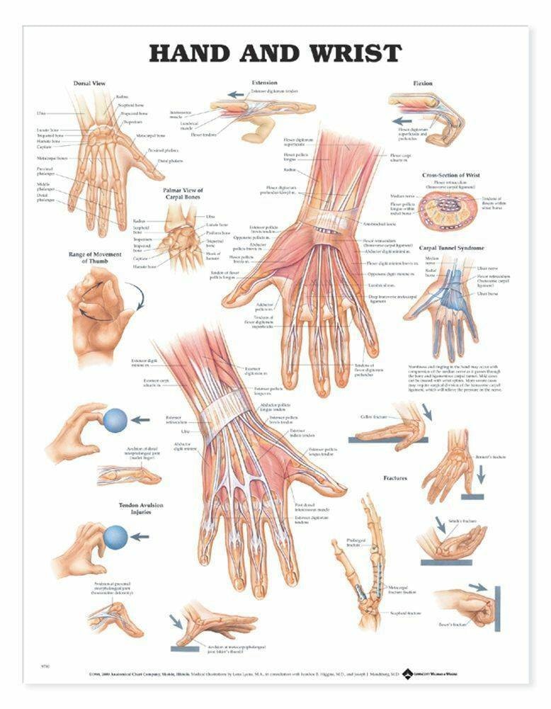 Hand Charts