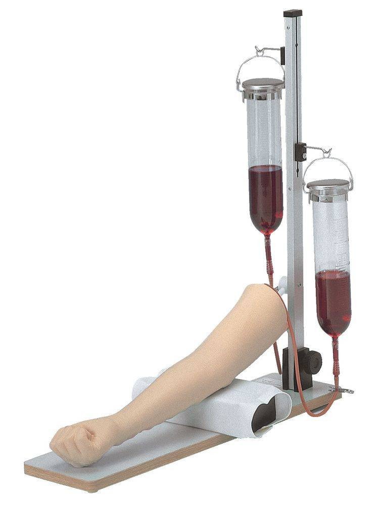 KOKEN Injection and Blood Sampling Practice Model Type 1 | Anatomy ...