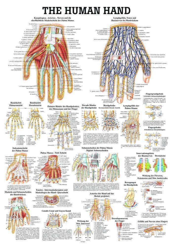 Hand Charts