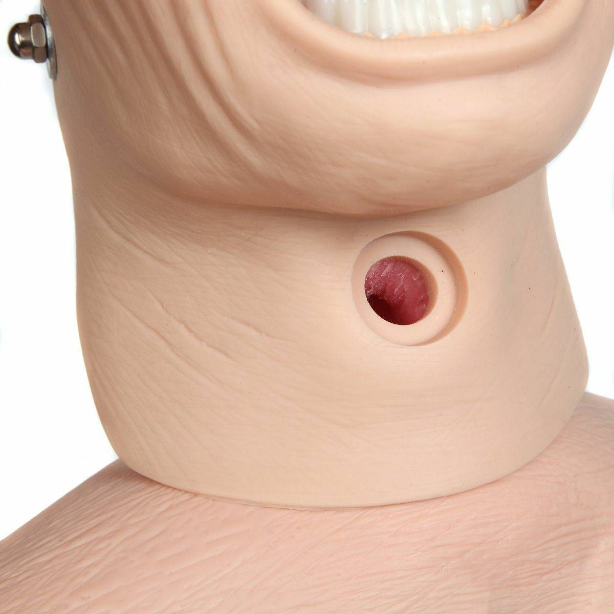 Anatomy Lab Advanced Full-body Geriatric Nursing Manikin (Female ...