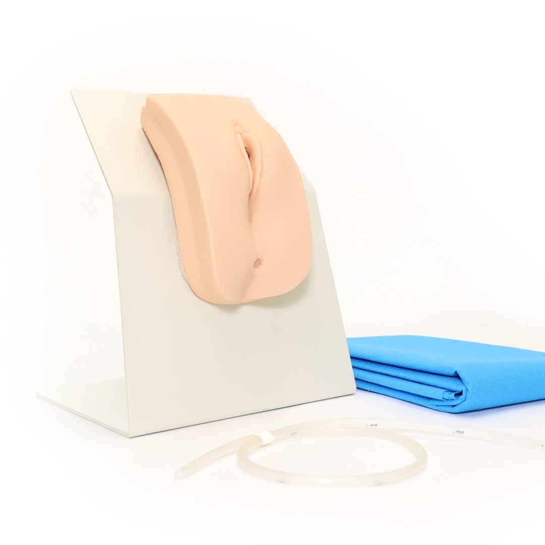 Anatomy Lab Advanced Portable Female Catheterization Model | Anatomy ...