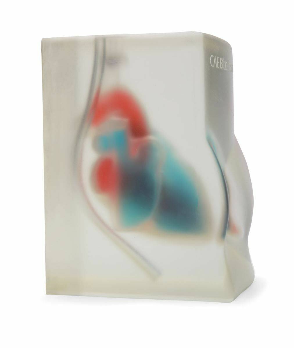 Blue Phantom Products - Anatomy Warehouse