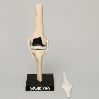 Sawbones Products - Anatomy Warehouse