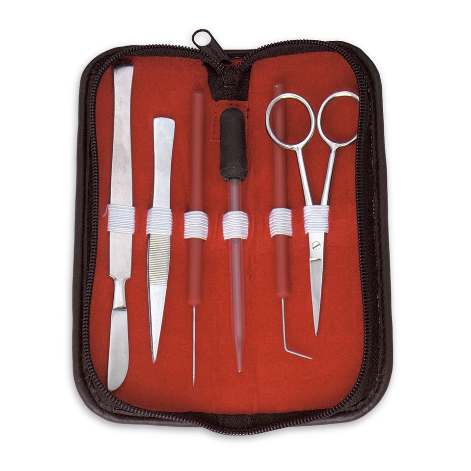 Dissection Supplies: Kits, Tools & Trays for Anatomy Labs | Anatomy ...
