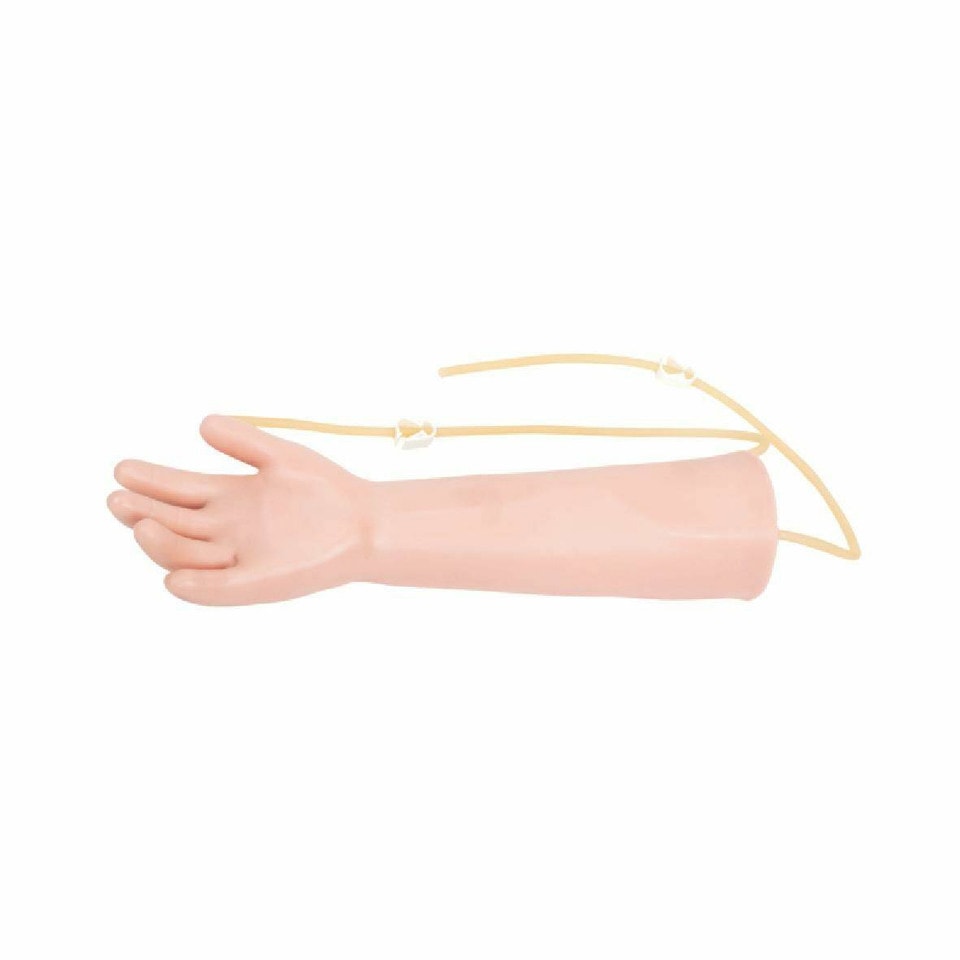 Anatomy Lab All-purpose IV Training Arm | Anatomy Warehouse