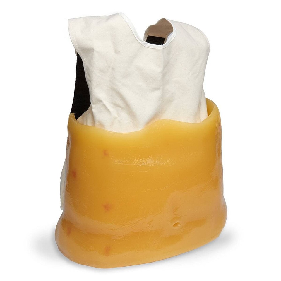 Nasco Healthcare 1-lb. Body Fat Replica on Base | Anatomy Warehouse